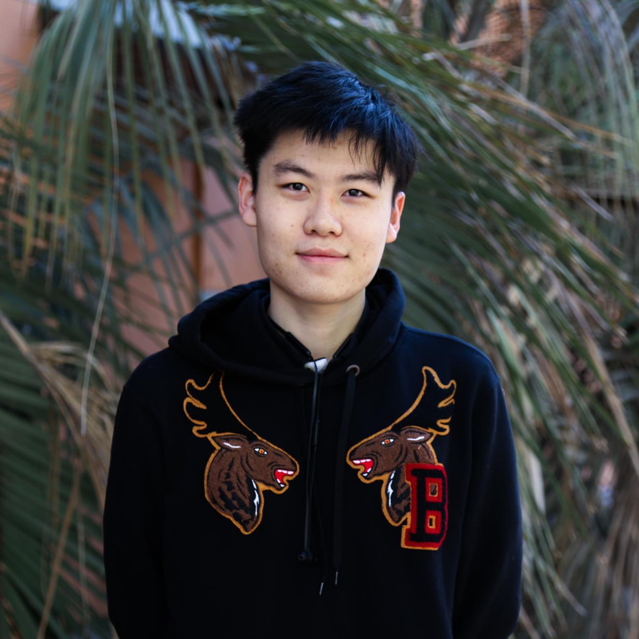 Arthur Wang | Engineering Capstone