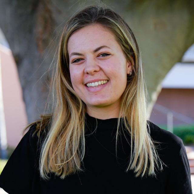 Violet Castle | Engineering Capstone