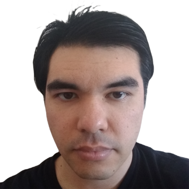 Arthur Lobins | Engineering Capstone